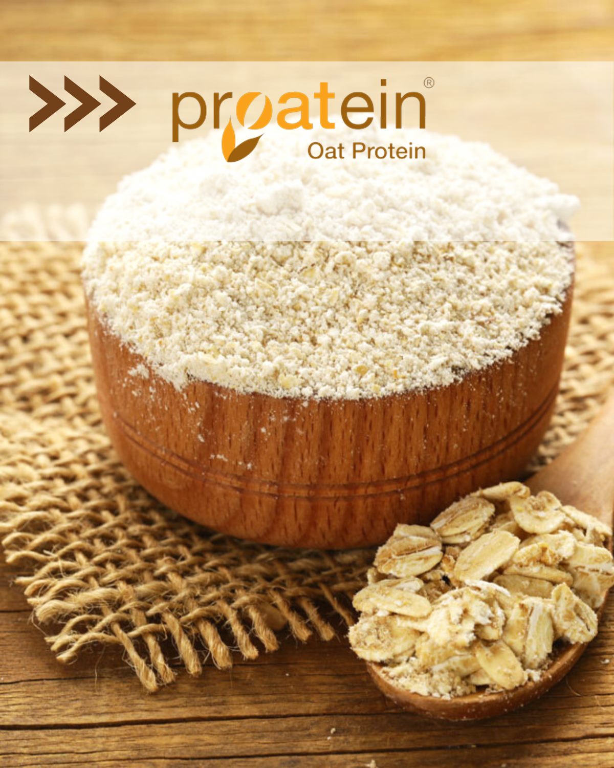 Plant-Based Milk Powders | merchant & supplier | naVitalo